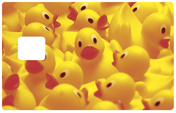 Little yellow ducks - sticker for bank card, 2 formats – STICKERCB