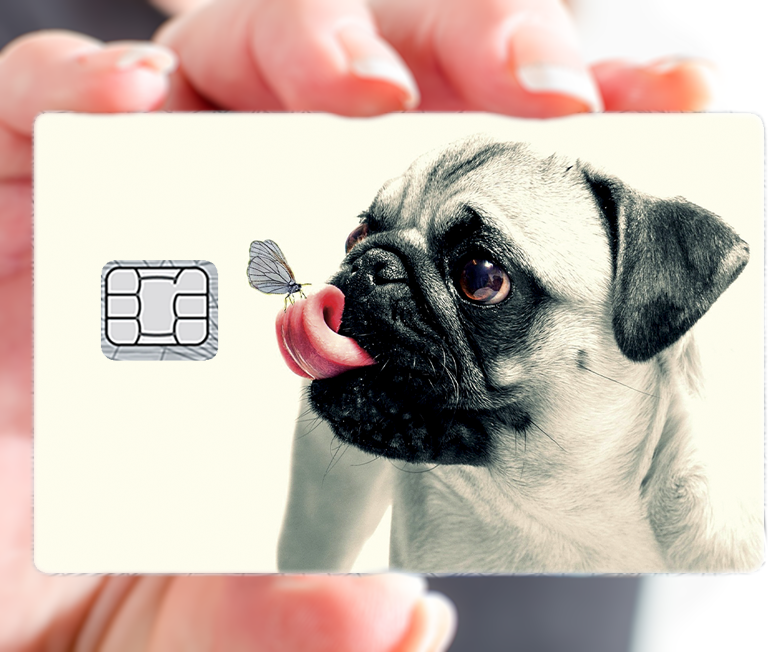 Pug - sticker for bank card, US format – STICKERCB